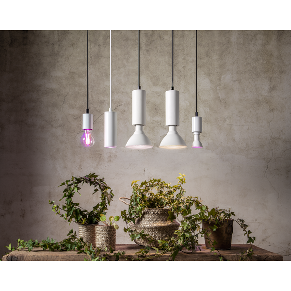 LED Lamp GU10 MR16 Plant Light - Christmas & decorative lighting for ...