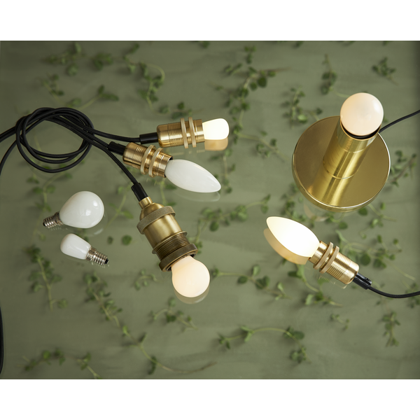 LED Lamp E14 ST26 Opaque Filament RA90 3-step - Christmas & decorative ...