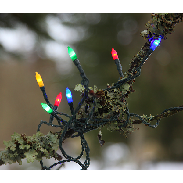 Light Chain P-LED Outdoor - Christmas & decorative lighting for indoors ...